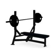 Refurbished Technogym Selection Olympic Flat Bench : Greentoe