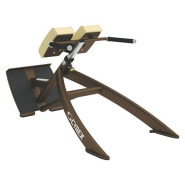 Refurbished Cybex 45 Degree Hyperextension New Style : Greentoe