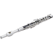 Allora Student Series Piccolo Model AAPI-996 | Greentoe